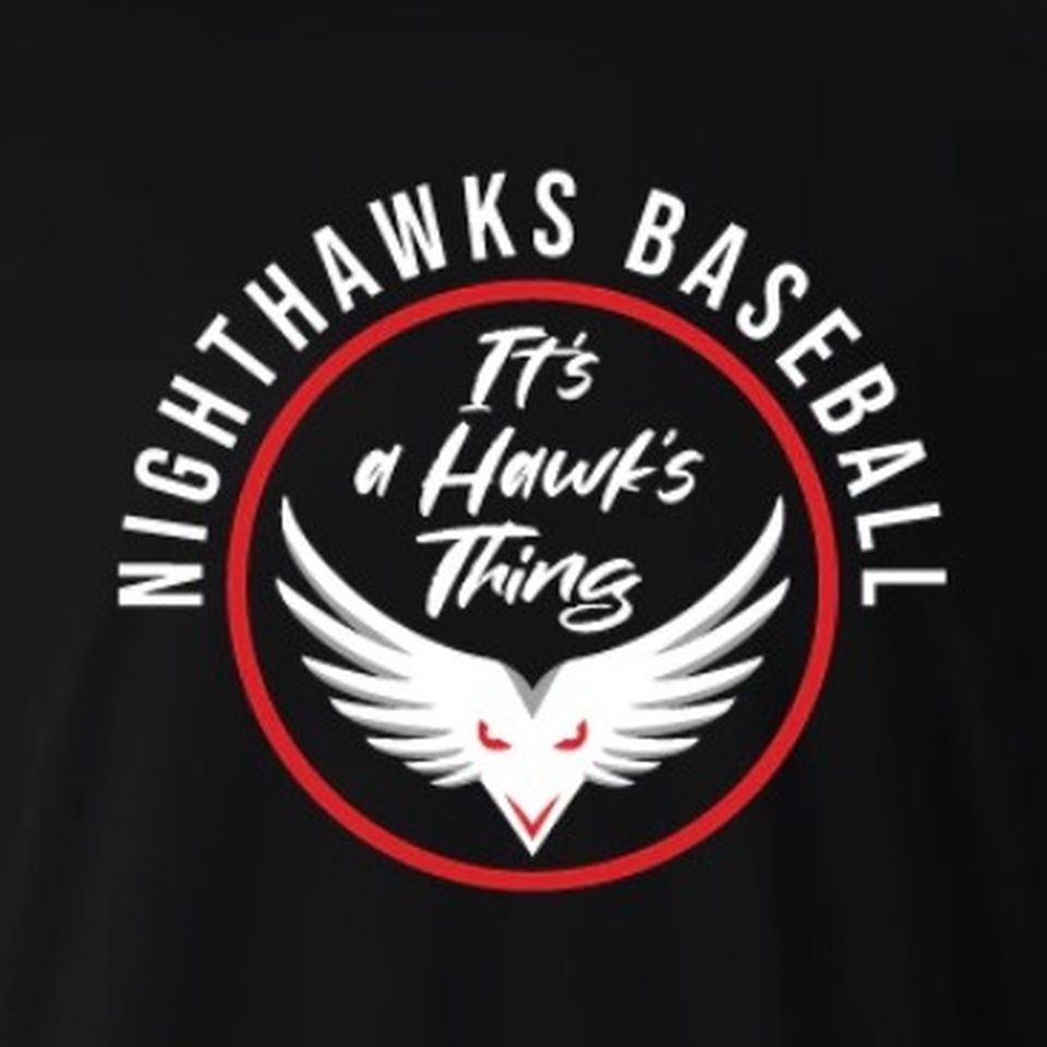 Nighthawks Baseball Logo