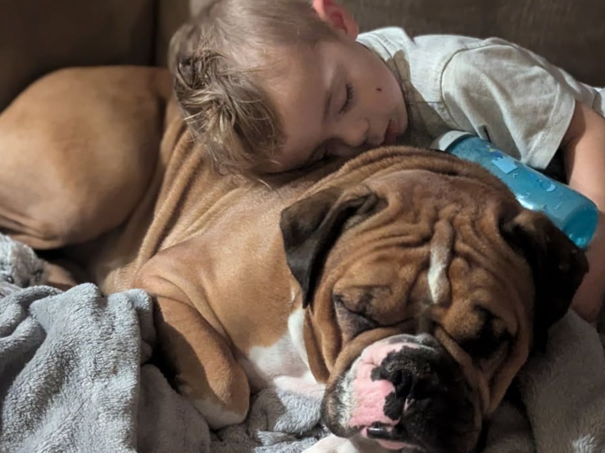 Fundraiser for Rebecca Walden by Amanda Wass : Help Becky & Luna Heal ...
