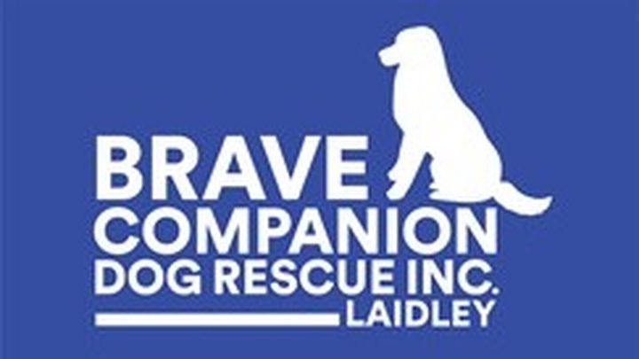 Fundraiser by Stephanie Ison : Santa PAWS drive