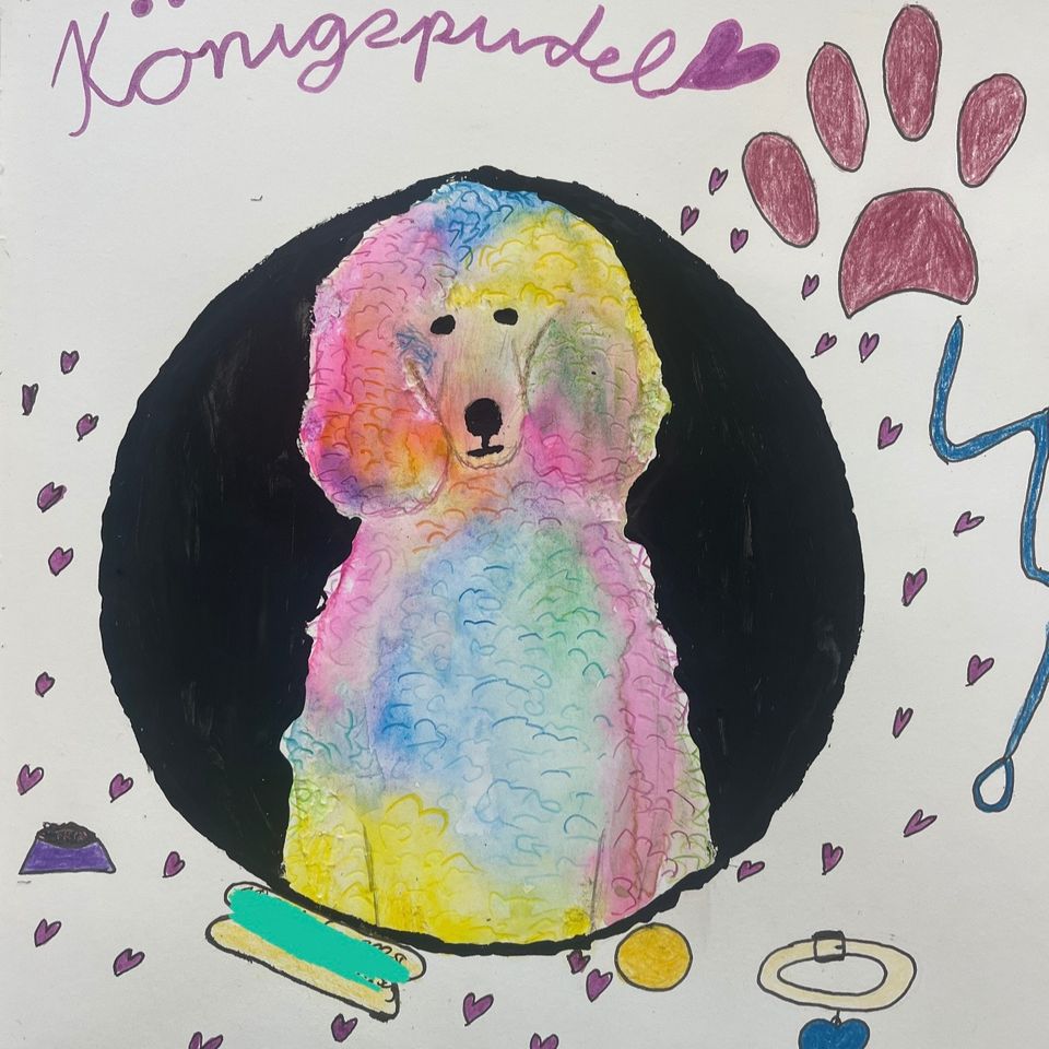 Fundraiser by Laura Iseli : Assistenzhund für Laura - Hoffnung auf vier ...
