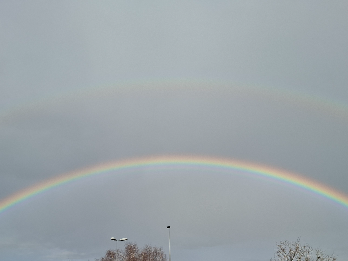 Fundraiser by Gabrielle G : Mon compagnon à se rendre à ses soins