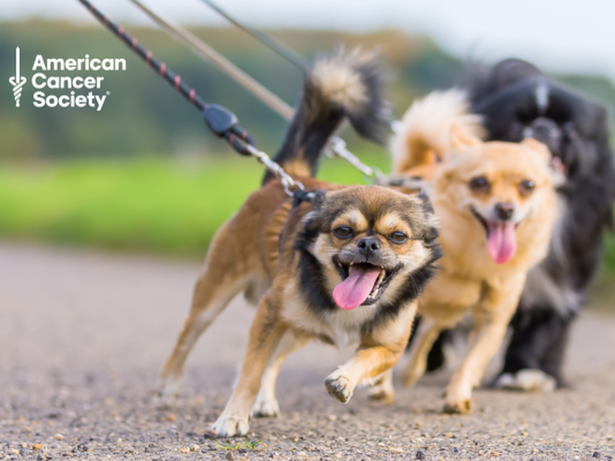 Fundraiser by Heather Lugo : 30 Mile Dog Walk for American Cancer Society