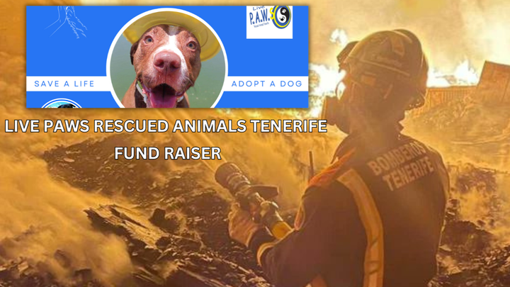 Fundraiser by Richard Cosgrove : LIVE PAWS RESCUED ANIMALS TENERIFE