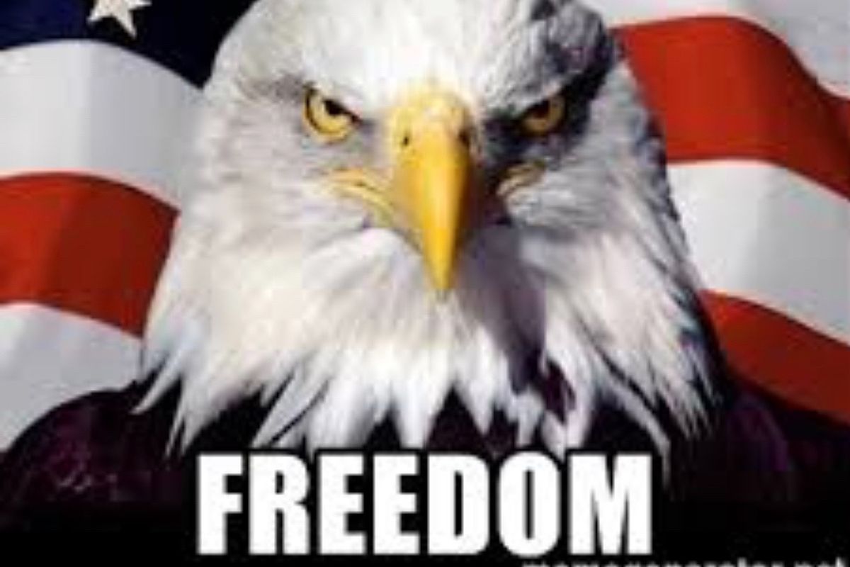 American Freedom Gif