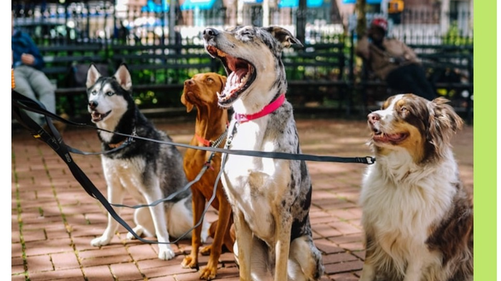 Fundraiser for Connie Kiser by Kristine Hubble : Support Connie's ...