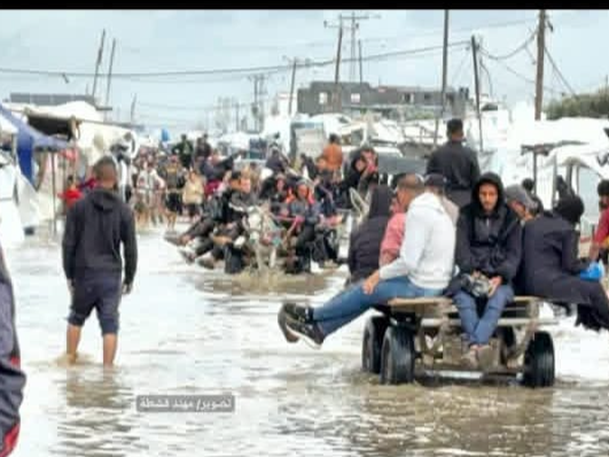 Fundraiser by hab haba : A Mother’s Cry for Safety, Healing & Survival