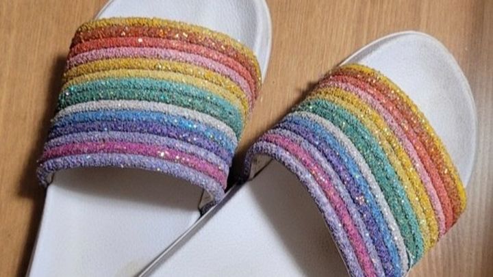 Fundraiser for Sue Kerr by Melissa Alcorn-Ferry : Support LGBTQ blogger ...