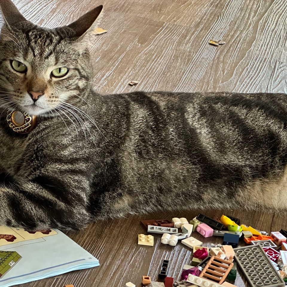 Fundraiser for Oren Root by J P : Help Oren & Family Rebuild After ...