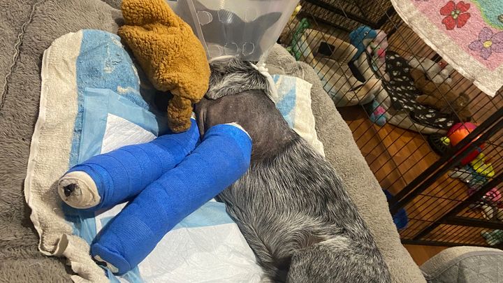 Fundraiser for Sian Dowling Rhodes by Kyah Rhodes : Troopers Recovery