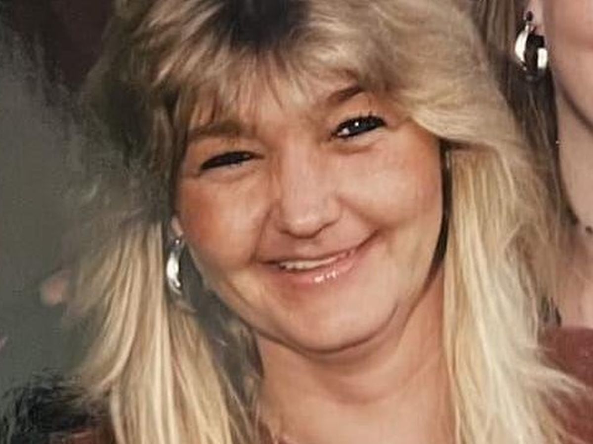 Steven Vento's Instagram, Twitter & Facebook on IDCrawl