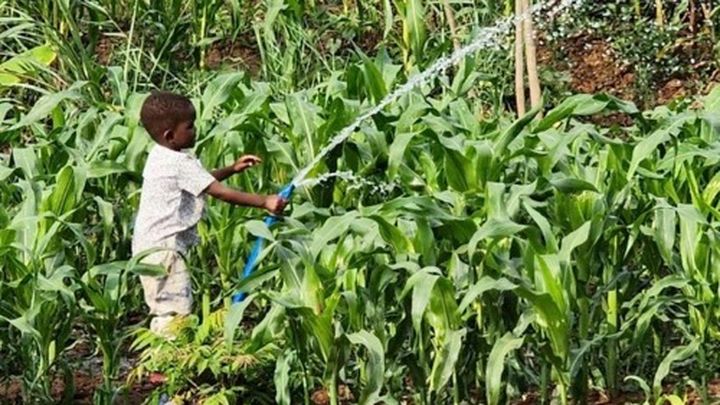 Fundraiser by Cameron Duncan : Solar Water Pumps for families in Malawi