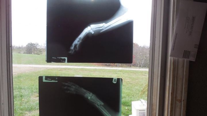 Fundraiser by Alan Lee Altizer : Please Help our Max