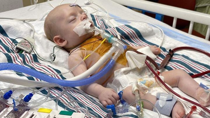 Fundraiser for Ciara Sirianni by Ellen Altenburgh : Help support this ...