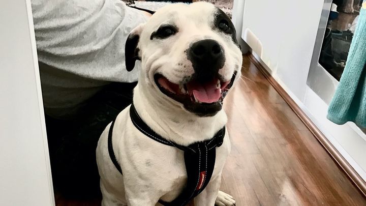 Fundraiser by Jen McCue : Jaxons Surgery Fund