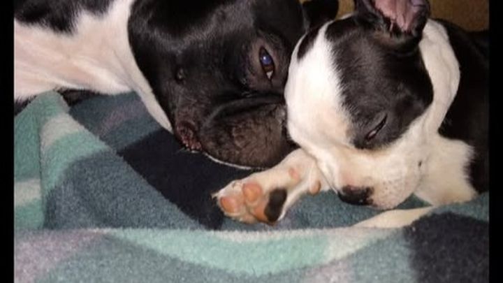 Fundraiser by Stephanie Lare : Donate to Support a Family's Recovery ...