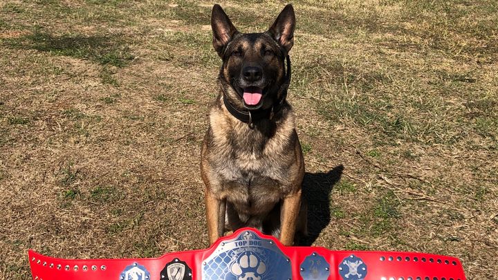 Fundraiser by Sarah Erfman : Support Retired MWD Tarzan