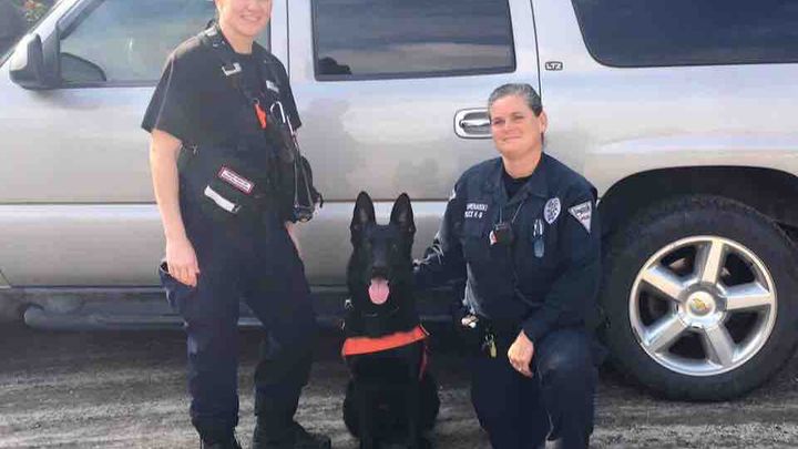 Fundraiser for Ashley Woodman by Jack Thorpe : Search and Rescue K9 ...