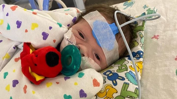 Fundraiser for Tarryn Falks by Molina Opp Hamblin : KRUZ CARTER FALKS ...