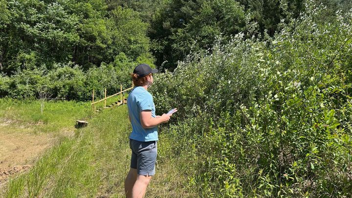 Fundraiser by Jennifer Sullivan : Support Henry Rees's Eagle Scout Project
