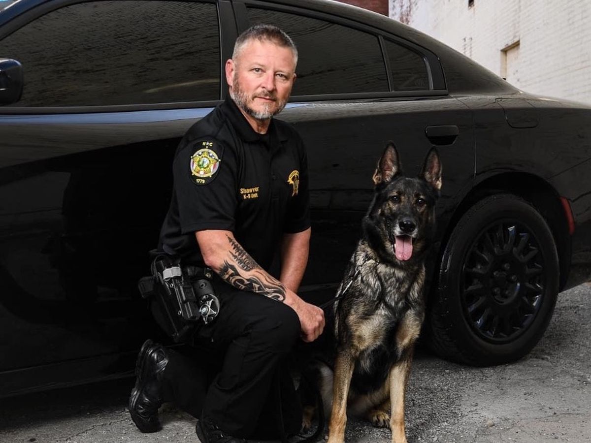 Fundraiser for Steve Shawver by Collin Shawver : In Honor of Ziva