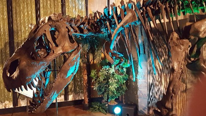 Fundraiser by Dave Daniels : Ivan the T. Rex