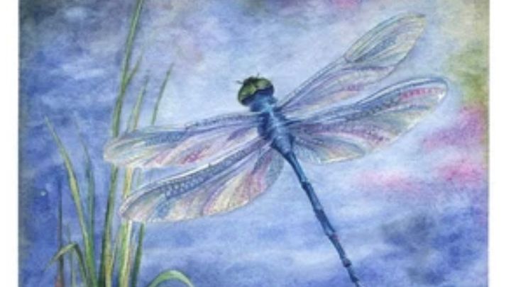 Fundraiser for Shannon Faust by Cyndi Mazzotta : Help Shannon rebuild ...