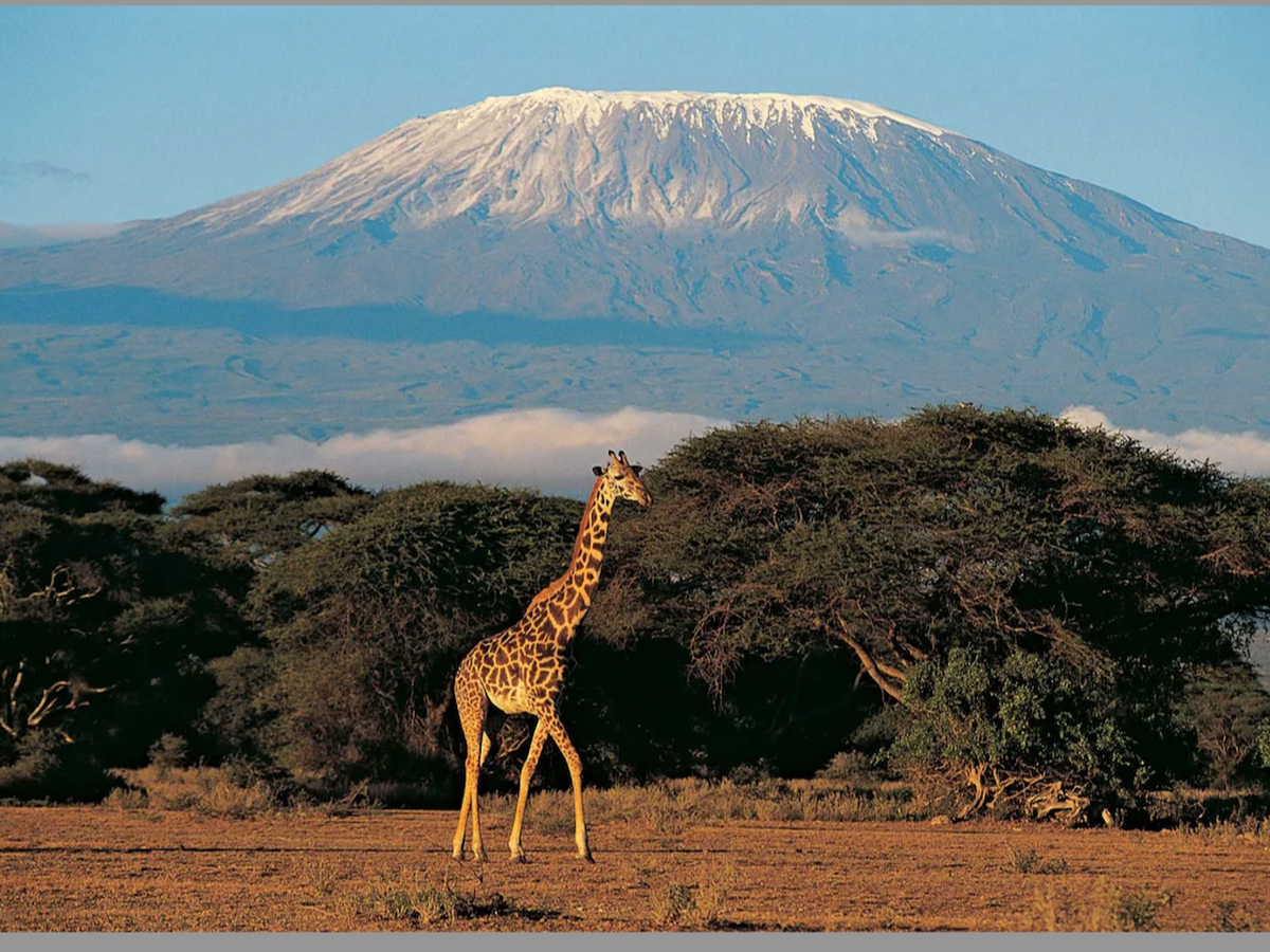 Fundraiser by Etai Page : Kilimanjaro climb for Kidscape