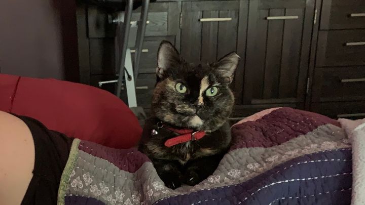 Fundraiser by James McDaniel : Help Lucy beat cancer