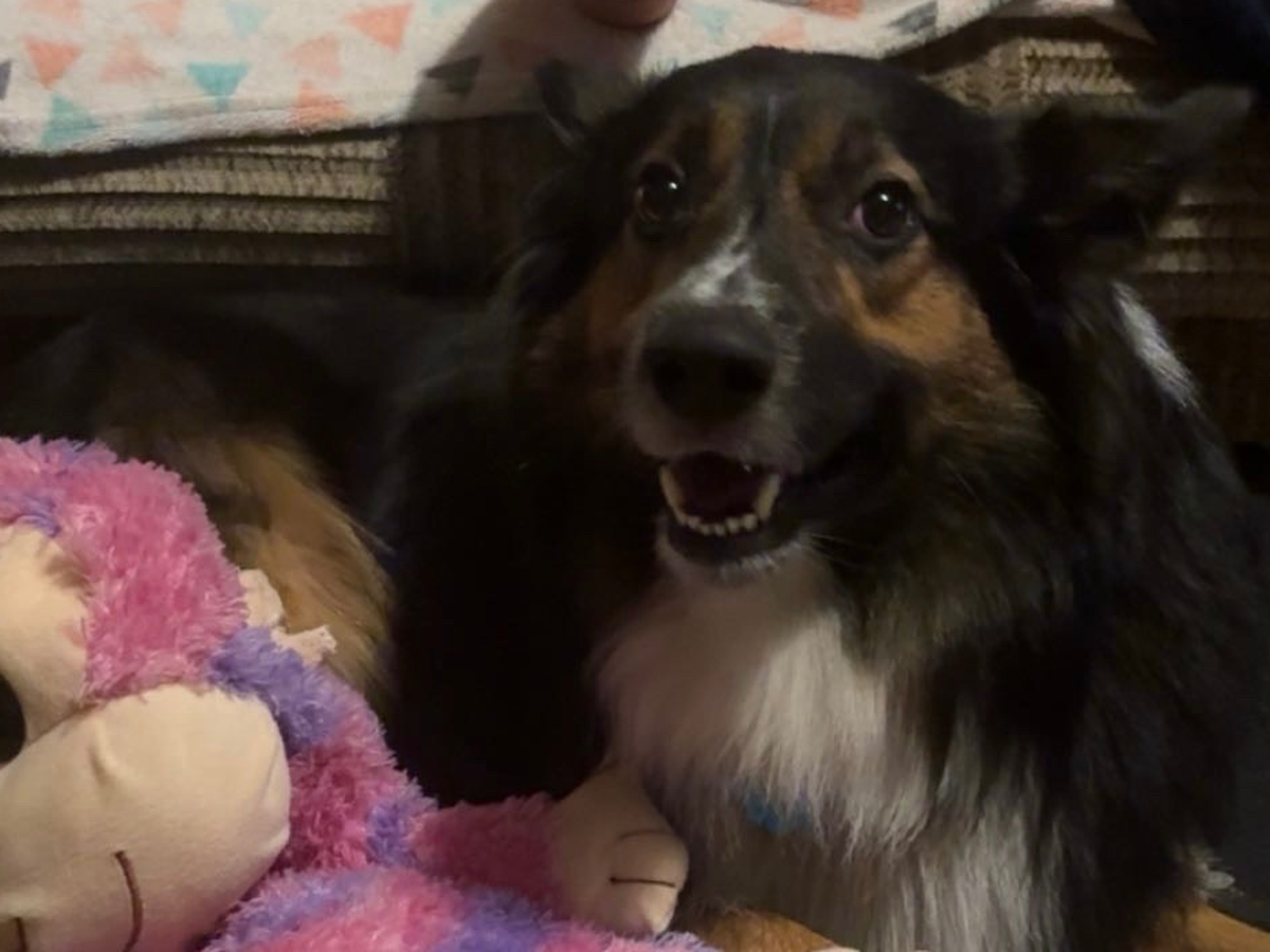 Fundraiser by Sarah Ferebee : Help Doug Get the Surgery He Needs