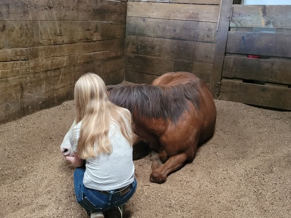 Fundraiser for Danielle Sisson by Lisa Kirkwood : Fund Her Dream: New ...