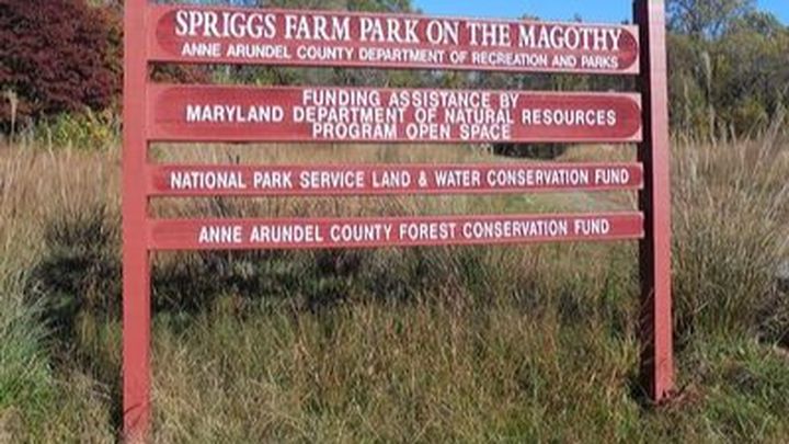 Fundraiser by Conor Keating : Purple Martin House at Spriggs Farm Park