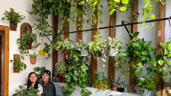 Fundraiser for Prop House Plants by Melissa Hay : Support Props House ...