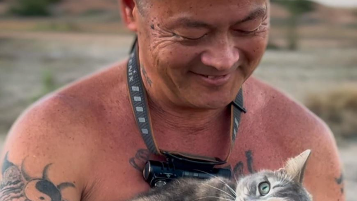 Fundraiser by Akiyo Murata : Help Sean Nakano Feed Maui's Cats
