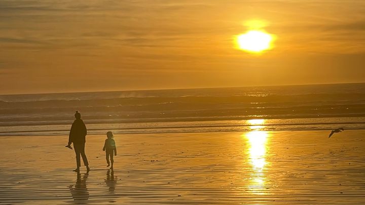 Fundraiser by Bae Bae S : Get Bear Home to his Mom