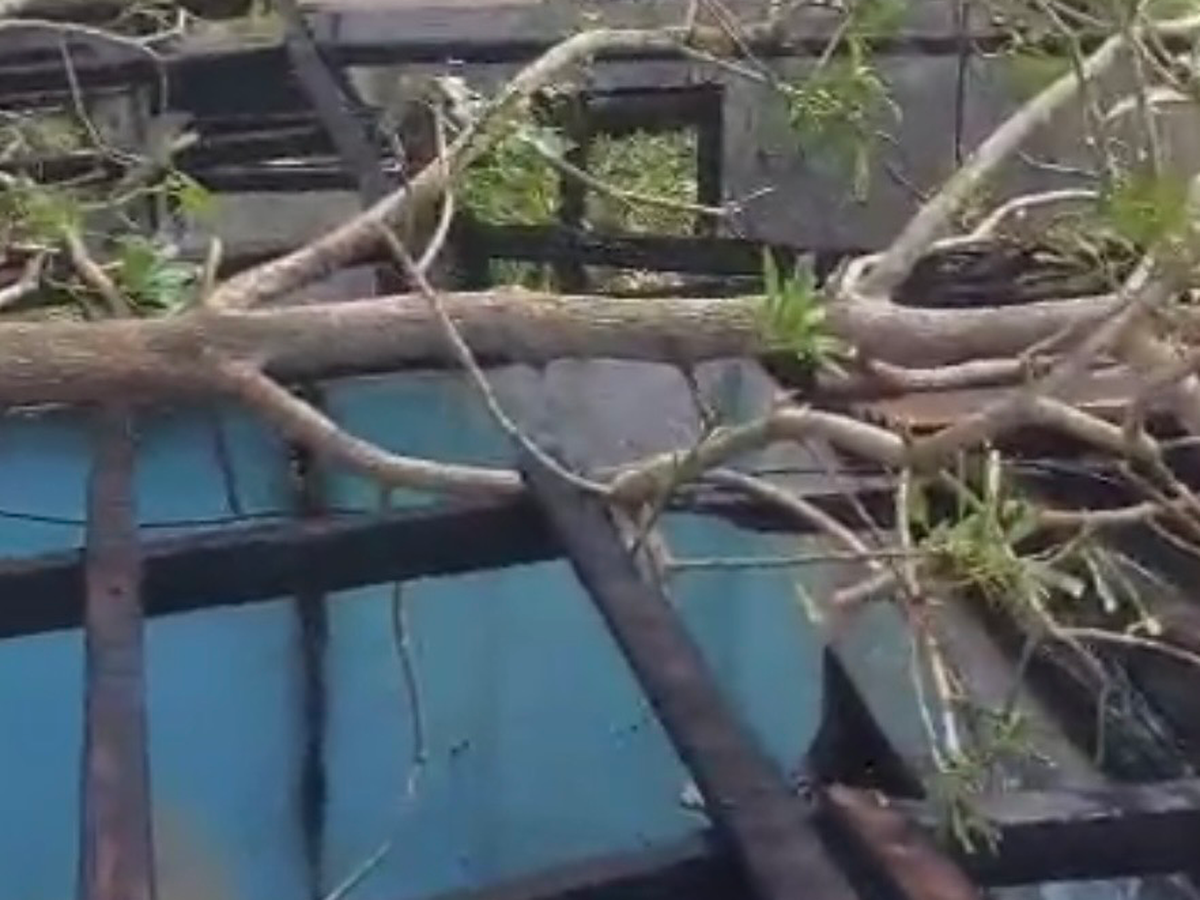 Fundraiser by Tabitha Beckford : Rebuilding After Hurricane Melissa