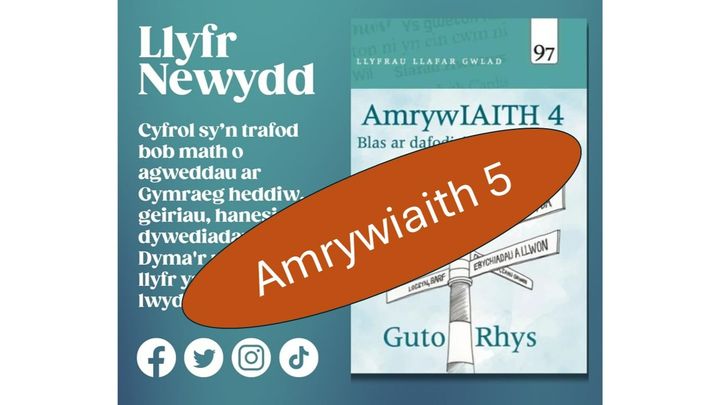 Fundraiser by Guto Rhys : Amrywiaith 5