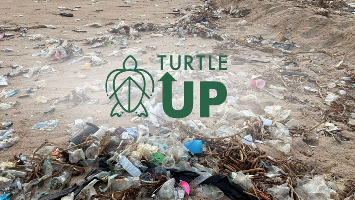 Fundraiser by Aidan Minnick : Protect Endangered Nesting Ground: Turtle ...