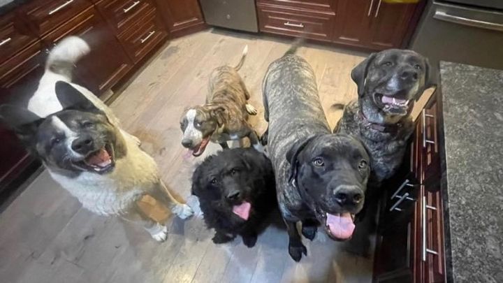 Fundraiser for Jacque Wetmore by Genevieve Rodriguez : Wetmore Family