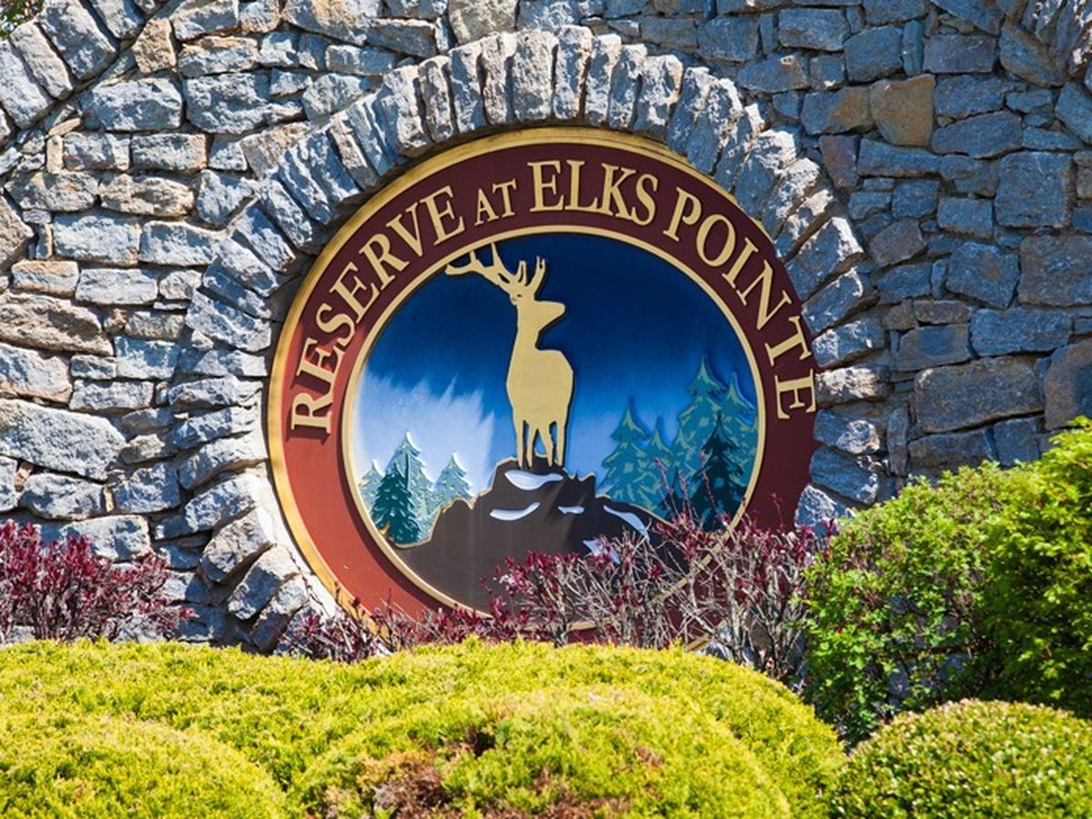 Fundraiser by Christopher Vaughn : Support Drake Vaughn's Eagle Scout ...