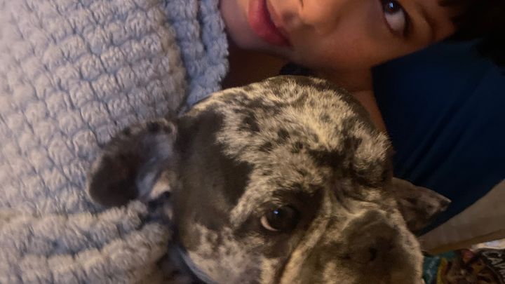 Fundraiser by diana pabon : Help Restore Water for My Family