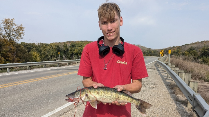 Fundraiser by Terry Mann : Help Us Honor Camryn Stonehocker's Life