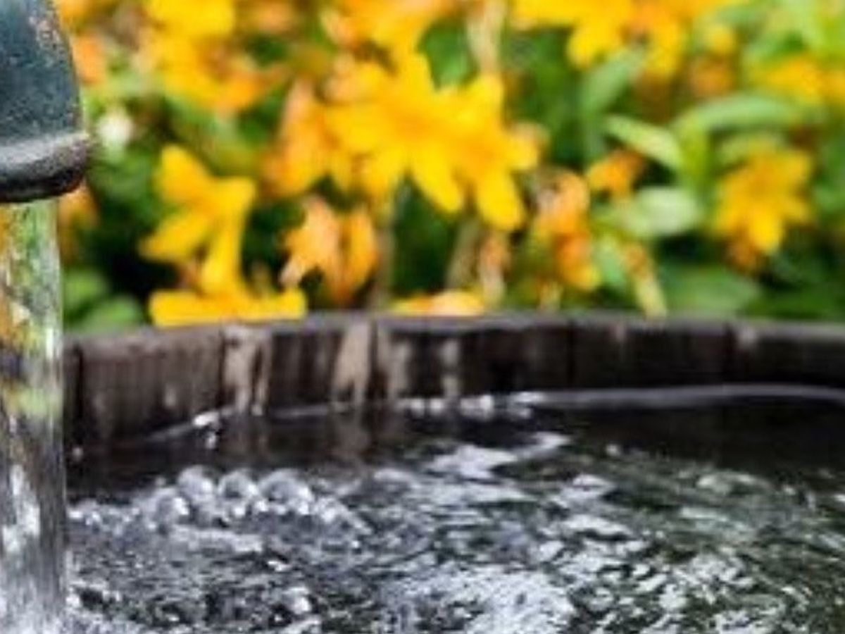 Fundraiser for Dianna White by Christi Young : Family without water supply