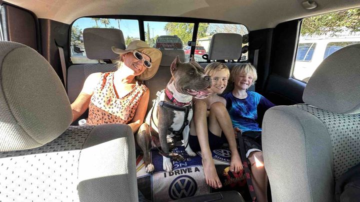 Fundraiser by Mark Rachel : Please Help Harmony and her Boys