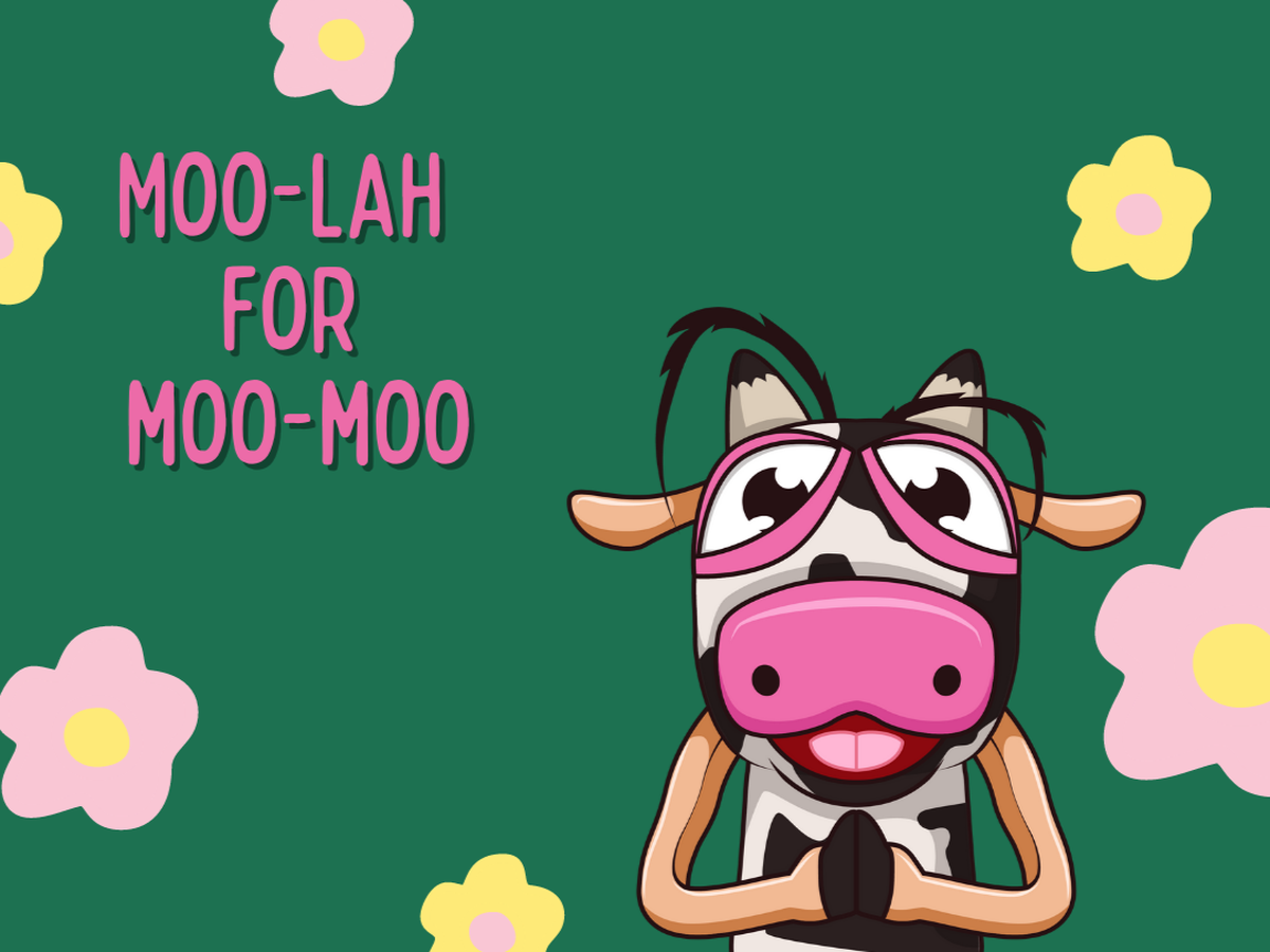 Moo Moo Cow