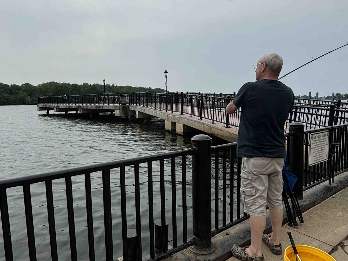 Fundraiser for Kathleen Ulmer by Rachel Kessler : Help Bud Fight Cancer!