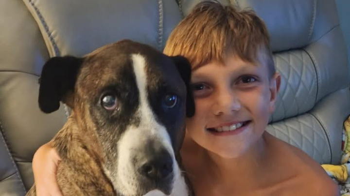 Fundraiser for JoAnn Brashear by Jessica Lundquist : The Brashear Family