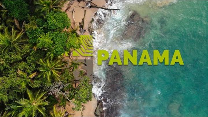 Fundraiser by Gabby Lewis : Help Support Field Study in Panama for Gabby!!