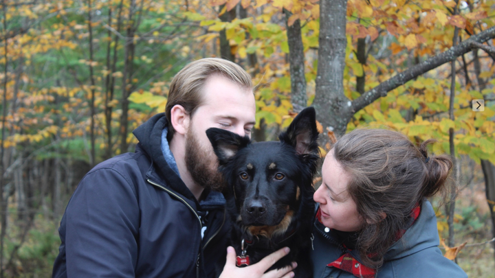 Fundraiser by Jordyn Fitzgerald : Help Leo's Big Heart (big vet bills)