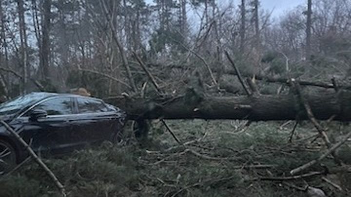 Fundraiser for Sarah Stuettgen by Samantha Phillips : Brodhead Family ...