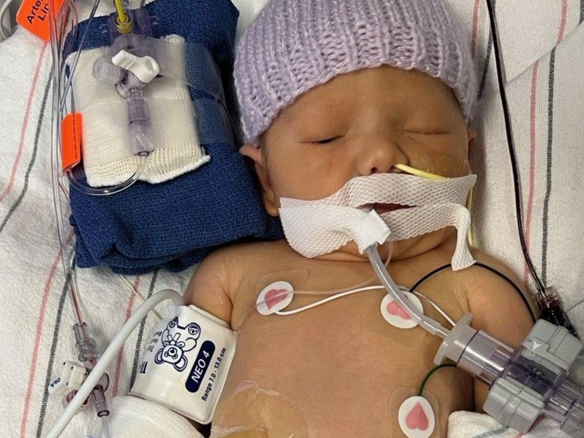 Fundraiser by Angela Bonnell : Foster's Fight- A Rare Congenital Heart ...